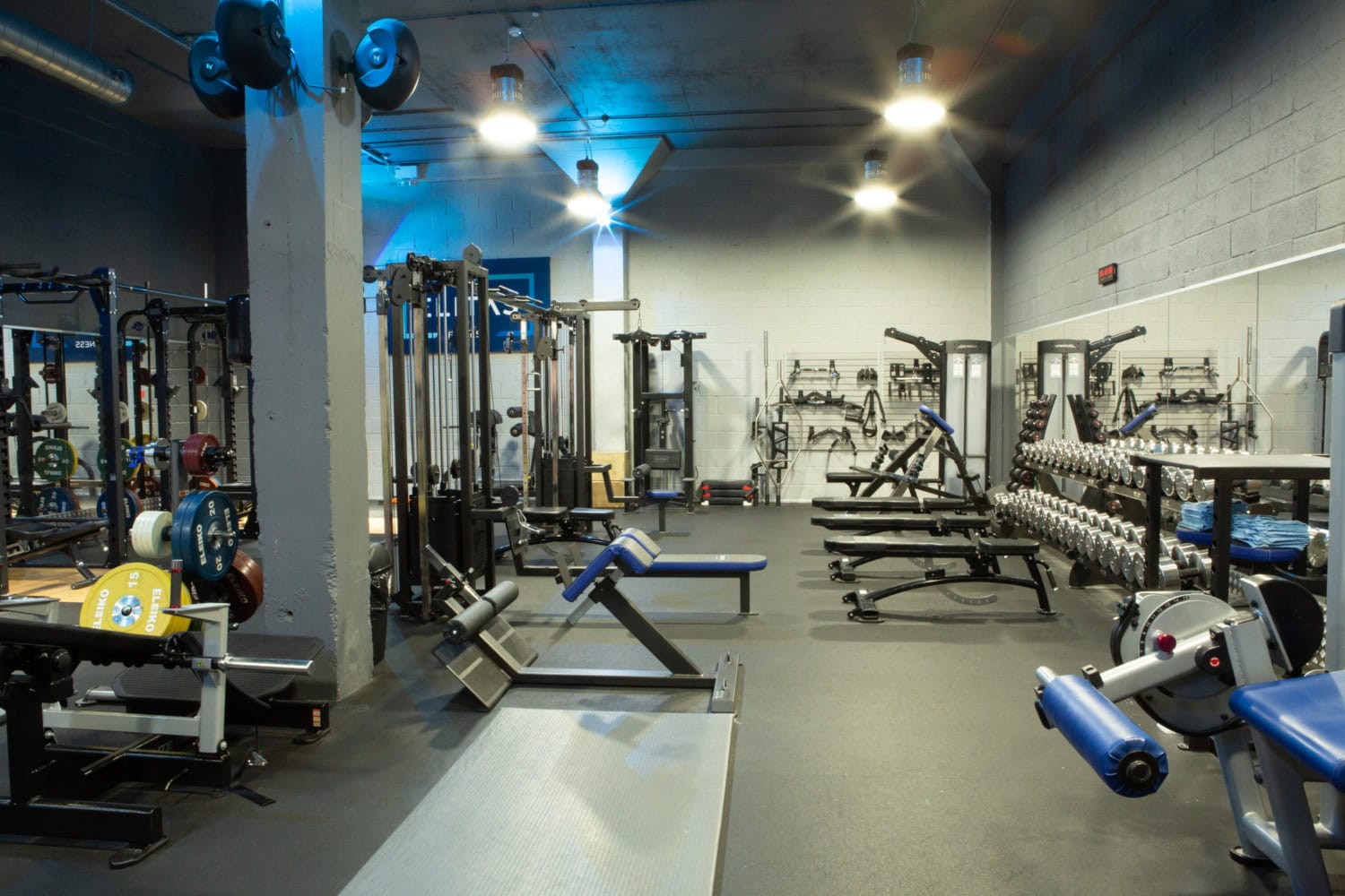 Premier Gym In Chichester | Elitas Fitnes